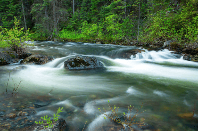 Road Trip Through Ranching Communities on the Blue Mountain Scenic ...