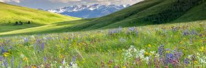 5 Day ROAD TRIP BACK in TIME EASTERN OREGON - Visit Eastern Oregon