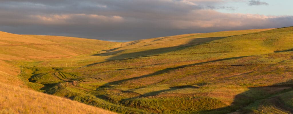 Savor the Journey: Discover Eastern Oregon's Best Self-Guided Farm ...
