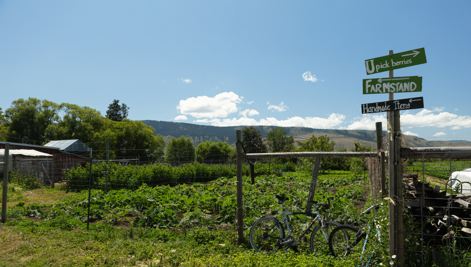 Savor the Journey: Discover Eastern Oregon's Best Self-Guided Farm ...